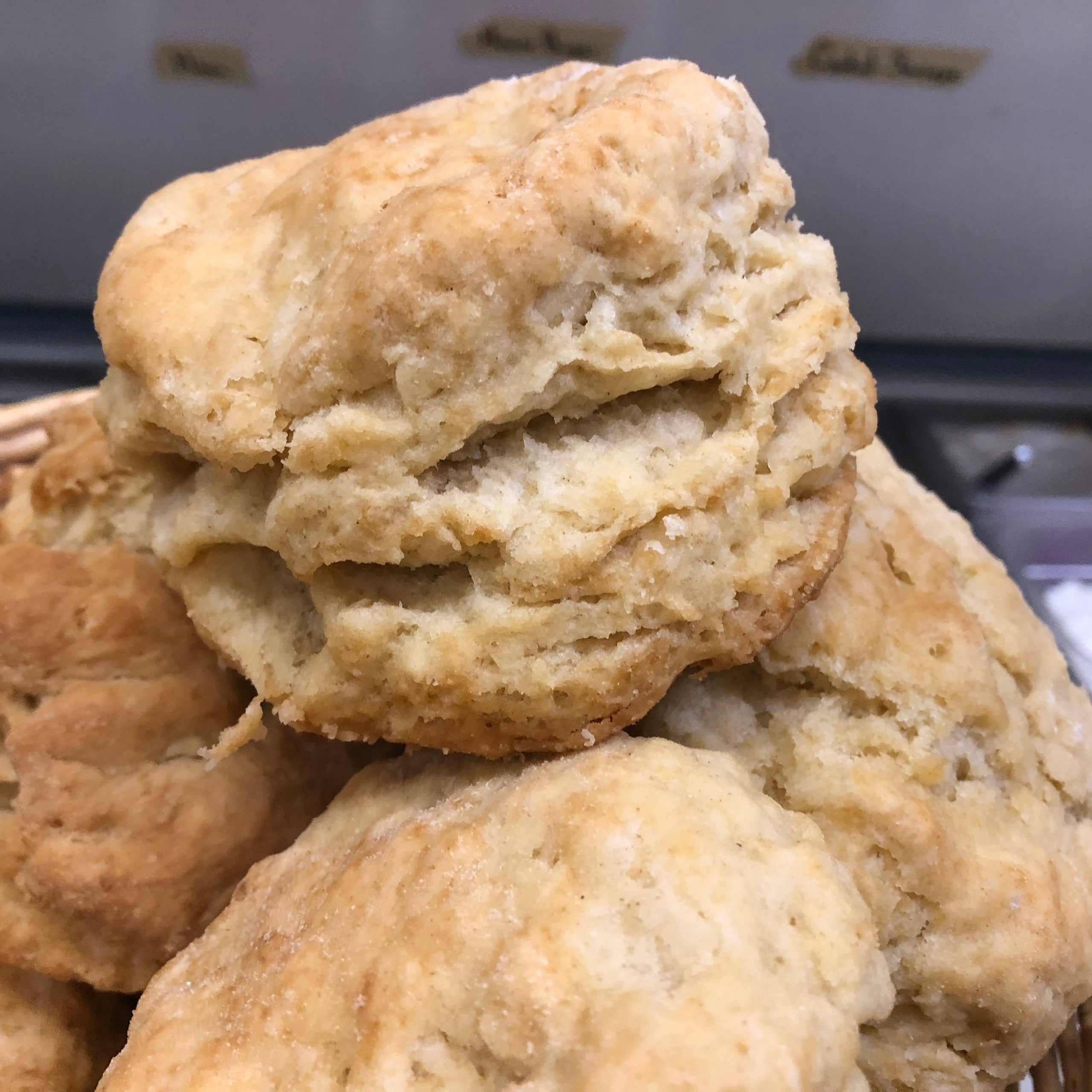 Biscuit | Breads On Oak